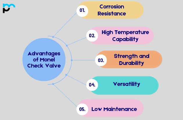 Monel Check Valve Manufacturer and Supplier in Dubai, UAE